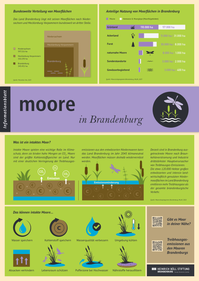 Heinrich-Böll-Stiftung Brandenburg